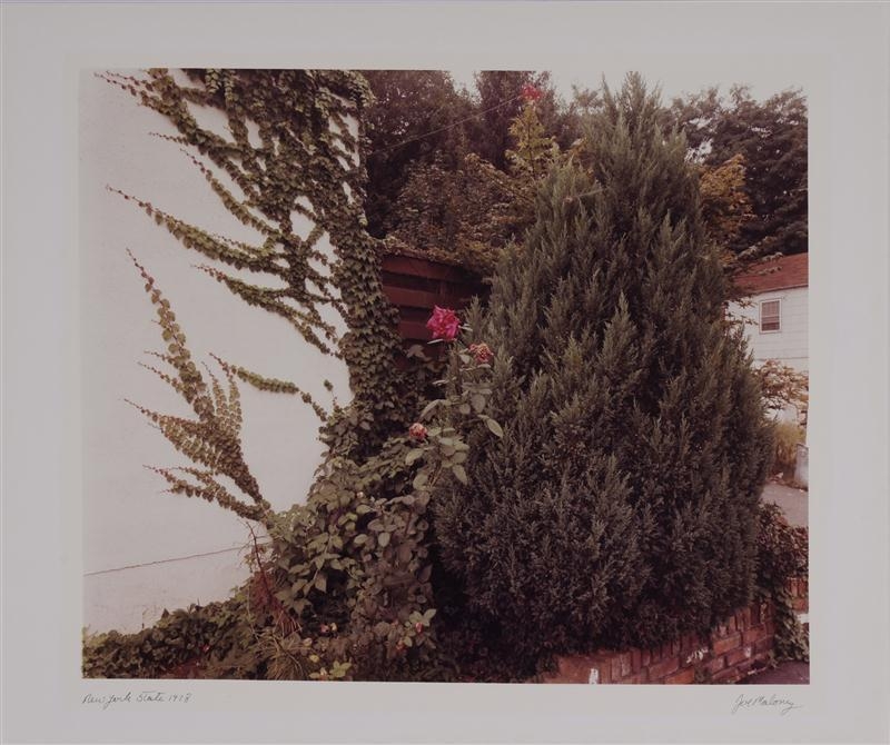 Joe Maloney | NEW YORK STATE 1978 | MutualArt