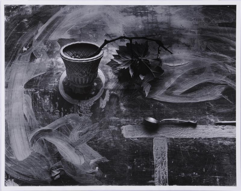 Zeke Berman | TABLE STUDY (MAPLE BRANCH AND SPOON) (1983) | MutualArt