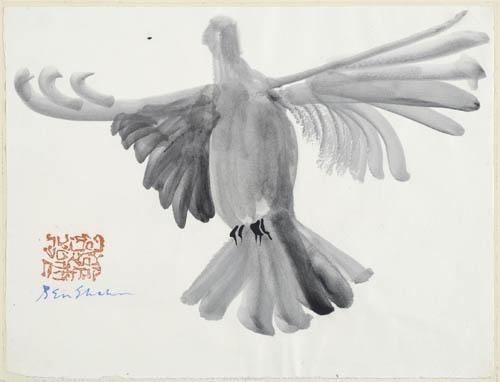 Ben Shahn | Dove (Circa 1960) | MutualArt
