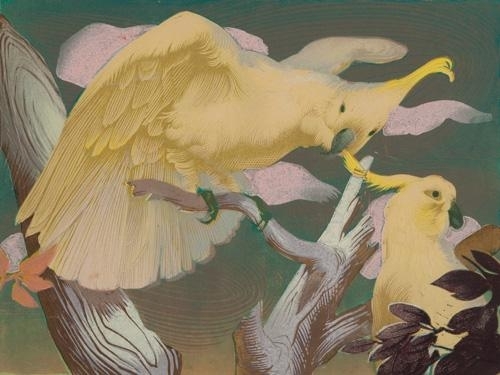 Vaughan Murray Griffin | Two Cockatoos | MutualArt