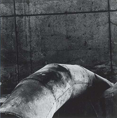 Aaron Siskind | Rusty pipe (1972) | MutualArt