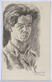 Nicolas Sternberg | 371 Artworks at Auction | MutualArt