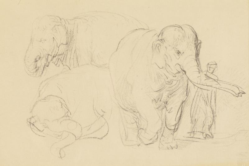 Rembrandt van Rijn | Three Studies of an Elephant | MutualArt