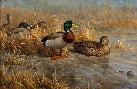 Julian Friers | MALLARDS | MutualArt