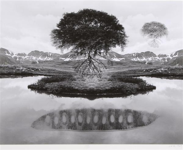 Jerry Uelsmann | Untitled (Floating tree and peapod) (1969) | MutualArt