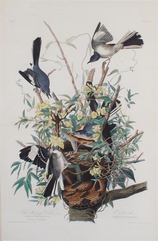 John James Audubon | The Mocking Bird | MutualArt