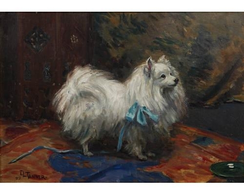 Ethel L. Tanner | 'Prince' - a Pomeranian; and 1 more work | MutualArt