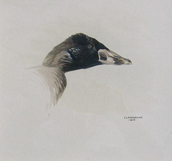 James Fenwick Lansdowne | Head of Goose (1958) | MutualArt