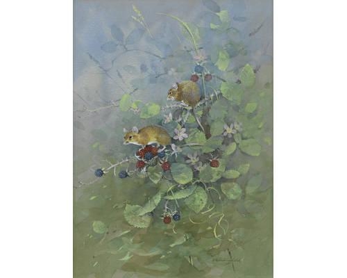 Gordon Beningfield | Field Mice | MutualArt