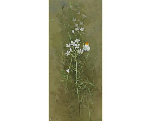 Gordon Beningfield | Orange tip butterfly in grasses | MutualArt