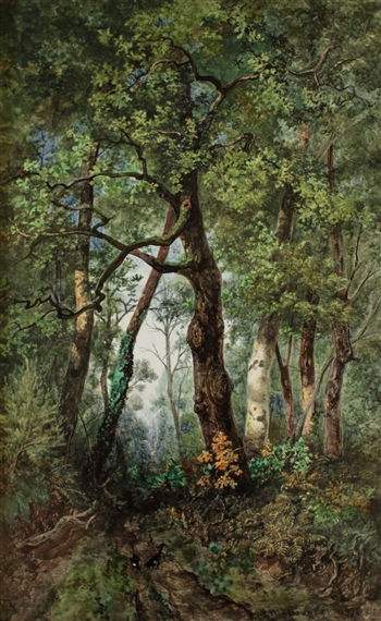 Michel Boulet | Forest landscape | MutualArt
