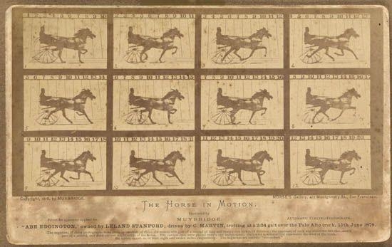 Eadweard Muybridge | The Horse in Motion (composite) (1878) | MutualArt