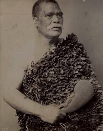 William Henry Thomas Partington | Te Korohohe | MutualArt