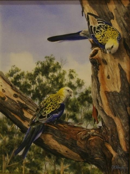 Gordon Hanley | Pale Headed Rosellas | MutualArt