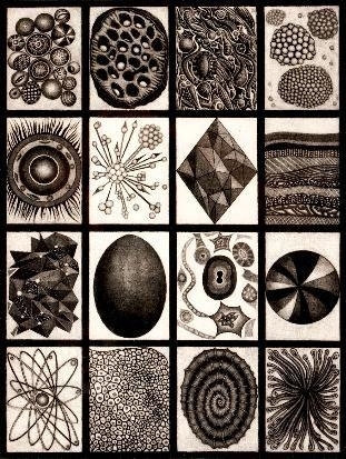 Leonard Marchant | Genesis | MutualArt
