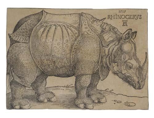 Albrecht Dürer | Rhinoceros (1515) | MutualArt