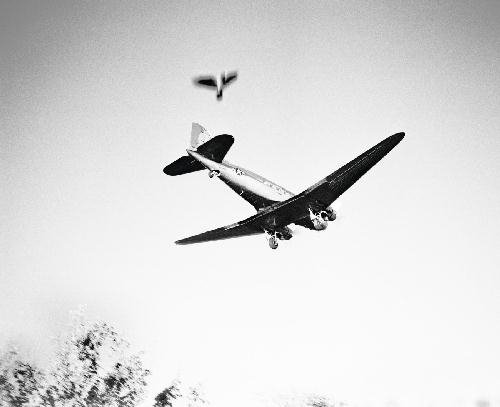 Jim Rakete | 11 Artworks at Auction | MutualArt