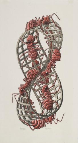 Maurits Cornelis Escher | Möbius Strip II (1963) | MutualArt