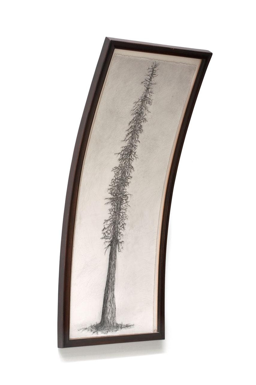 Tim Hawkinson | Bent Tree (1988) | MutualArt