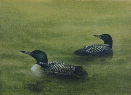 Philip Snow | two Great Northern Divers (1993) | MutualArt