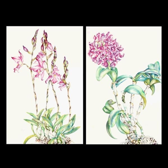 Sally Robertson | 6 Artworks | MutualArt