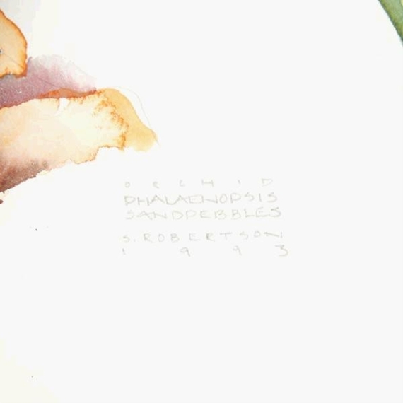 Sally Robertson | 6 Artworks | MutualArt