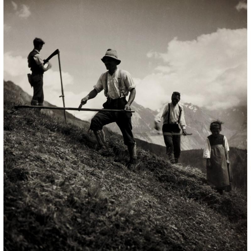 Rudolf Koppitz | Rooster (1930) | MutualArt