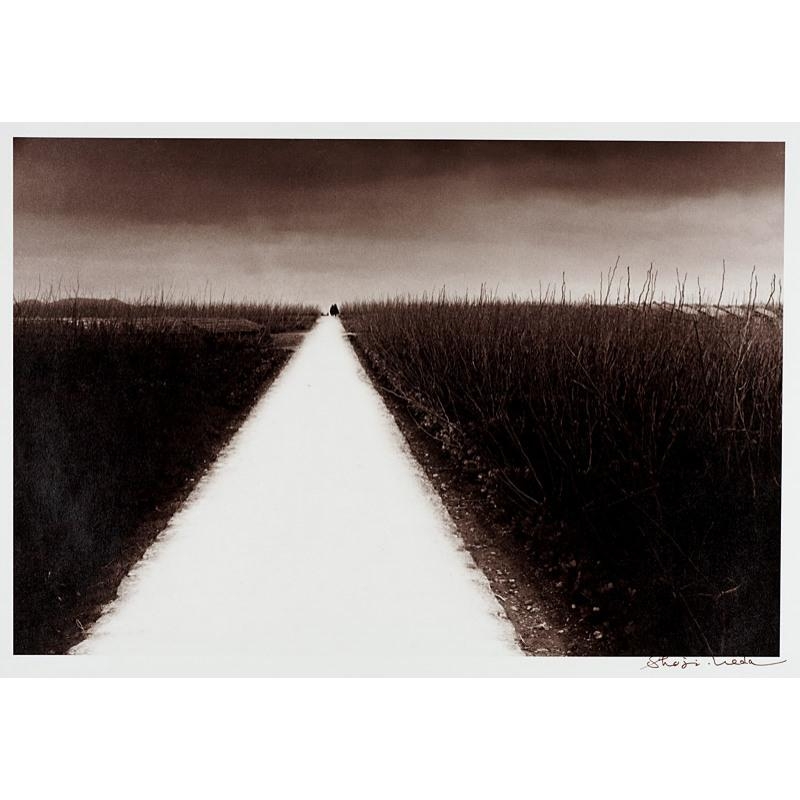 Shoji Ueda | Winter from the series Children the Year Around (1955 ...