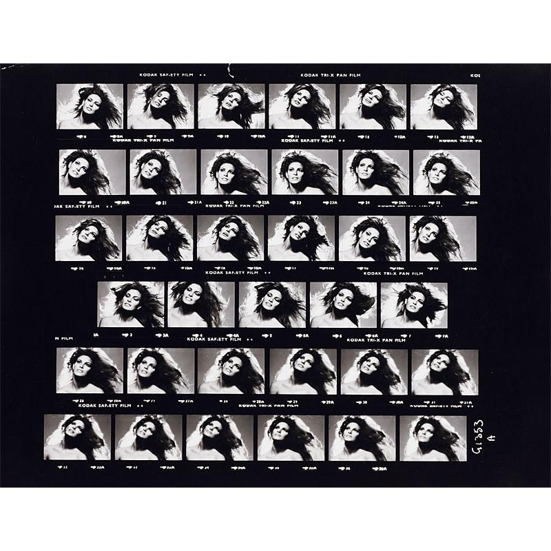 David Bailey | Yves Saint Laurent (1970) | MutualArt
