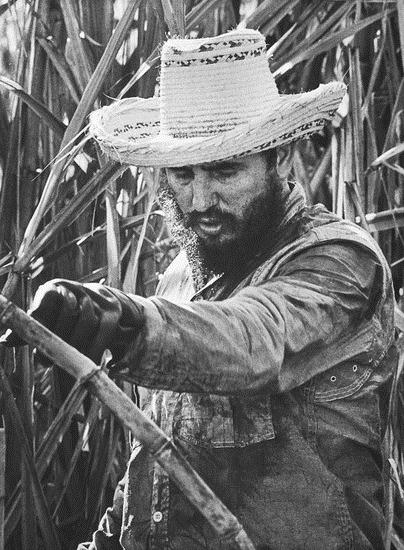 Osvaldo Salas | Fidel Castro. Corte de Cana | MutualArt