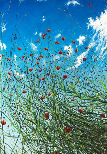 Mark Kavanagh | Poppies (2008) | MutualArt