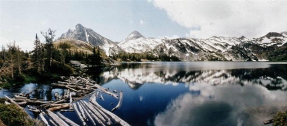 Gus Foster | 4 Artworks at Auction | MutualArt