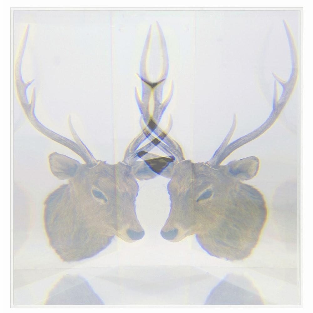 Kohei Nawa | PIXCELL[DEER] (2008) | MutualArt