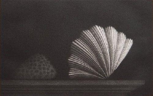 Leonard Marchant | Pratt Shell | MutualArt