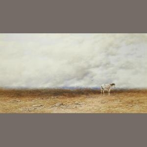 Peter Deakin | 25 Artworks at Auction | MutualArt