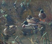 Peter Markham Scott | Ground Mist (1954) | MutualArt