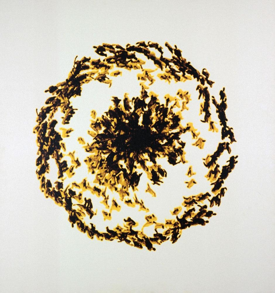 Michal Rovner | Flower (2005) | MutualArt