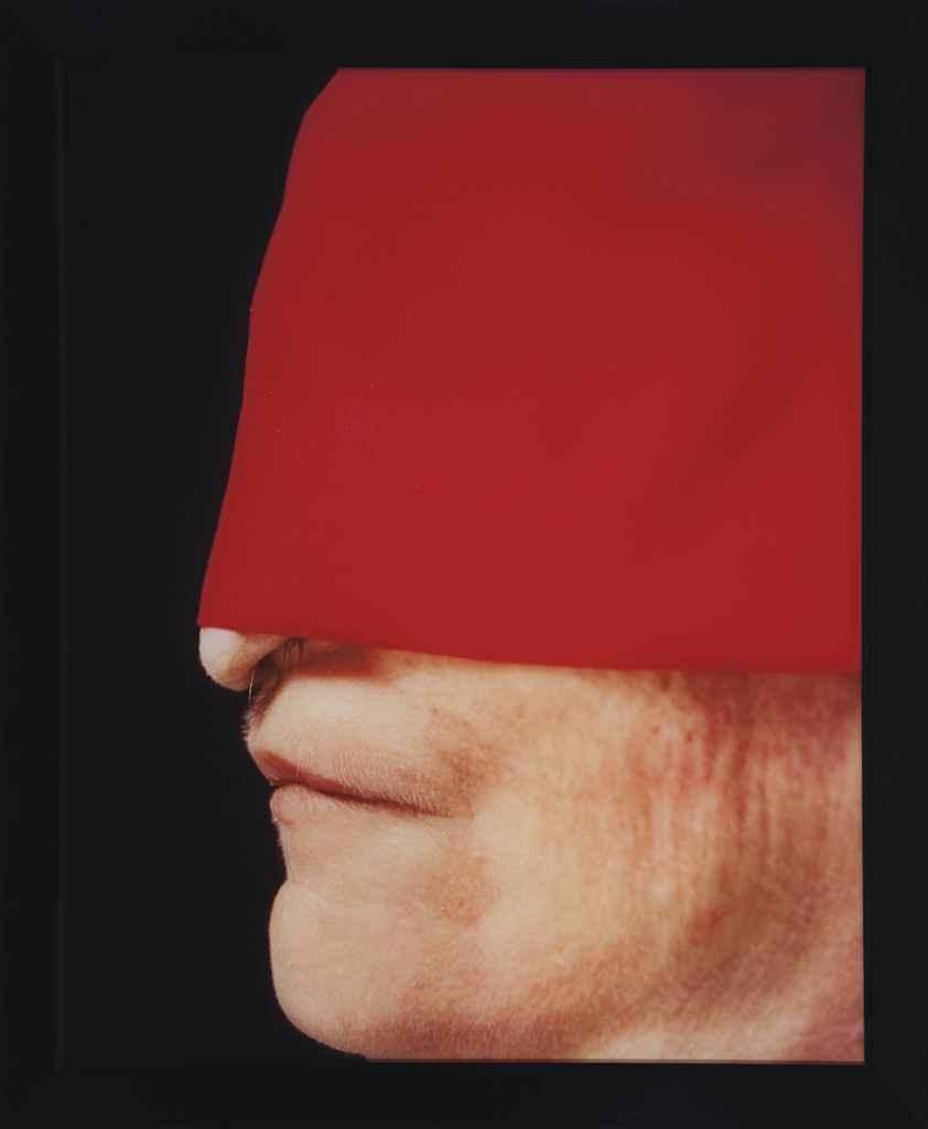 Andrés Serrano | The Morgue (Infectious Pneumonia) (1992) | MutualArt