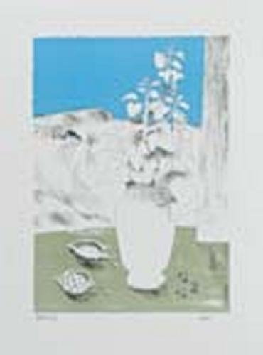 Mary Fedden | Shells and Pebbles (1971) | MutualArt