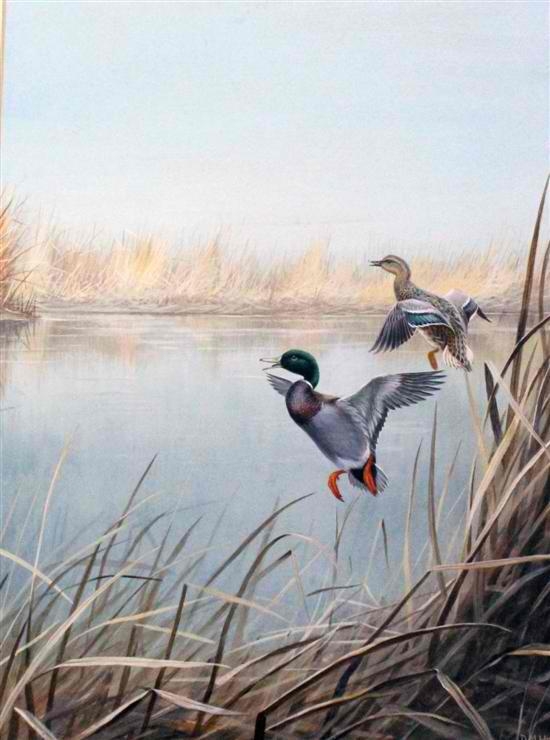 David Morrison Reid Henry | Kingfisher | MutualArt