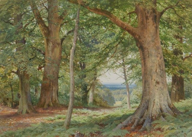 Harry Sutton Palmer | A wooded glade | MutualArt