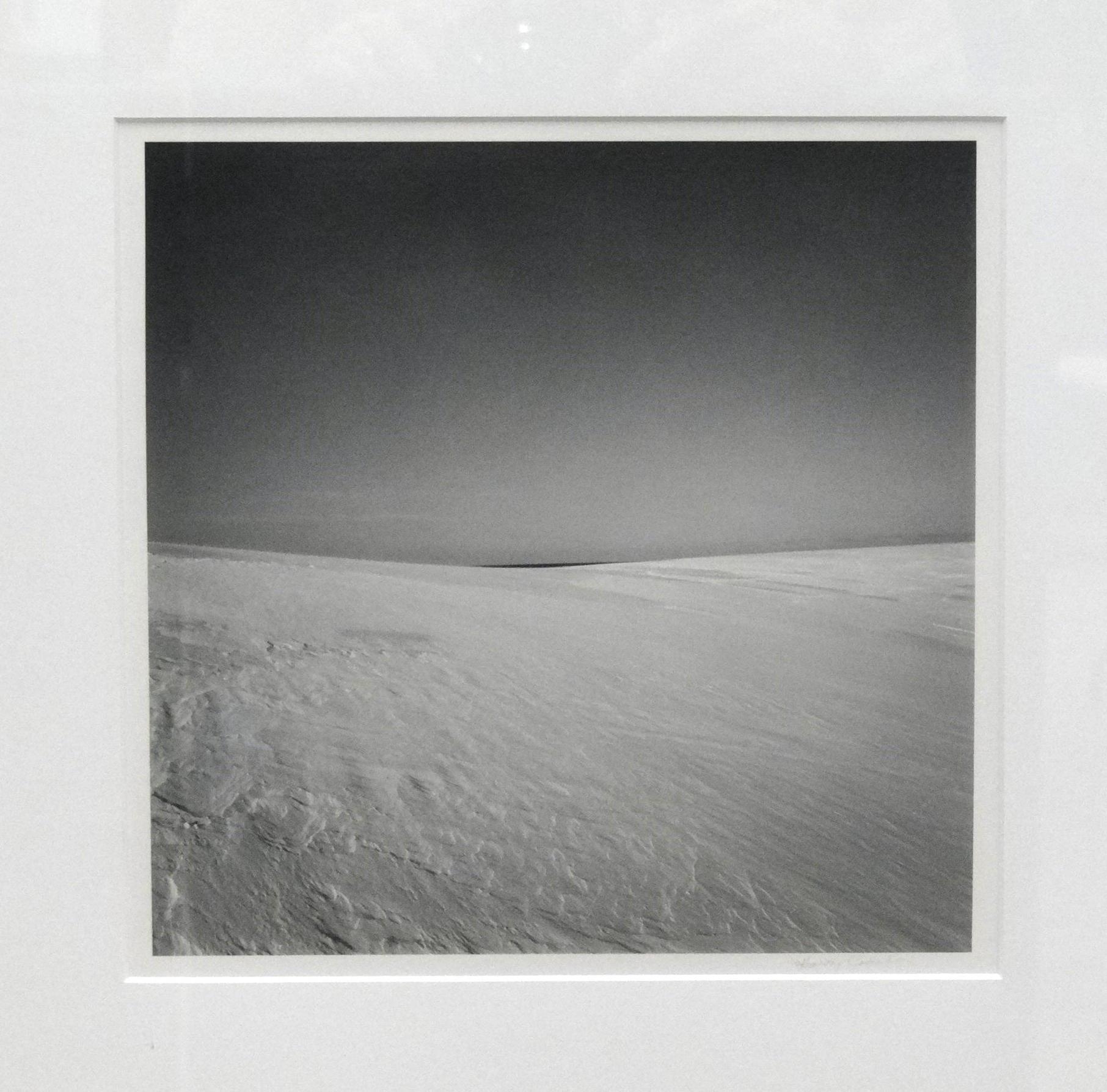 Harry Callahan | Cape Cod | MutualArt