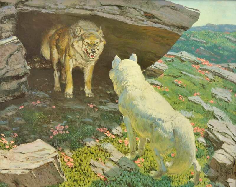 Harold von Schmidt | Husky and White Wolf (1954) | MutualArt