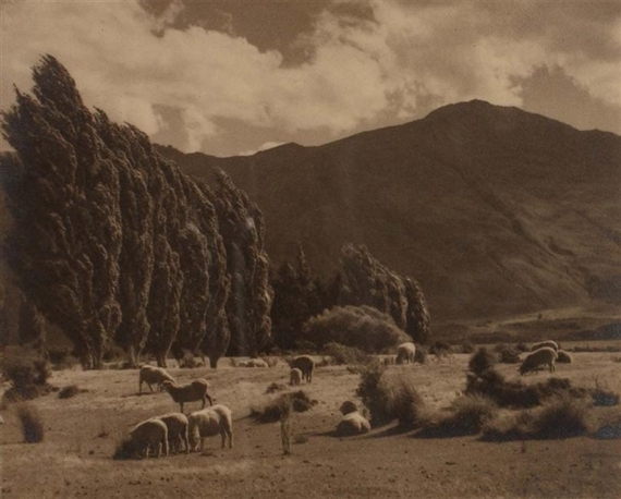 George Chance | Pasture - Wanaka | MutualArt