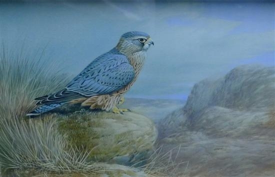 Cyril David | 6 Artworks | MutualArt