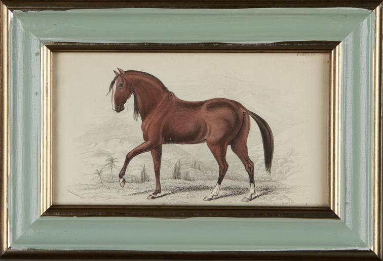 Charles Hamilton Smith | 28 works: A set of twenty eight late 19th ...
