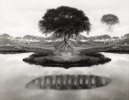 Jerry Uelsmann | Floating Tree (1969) | MutualArt