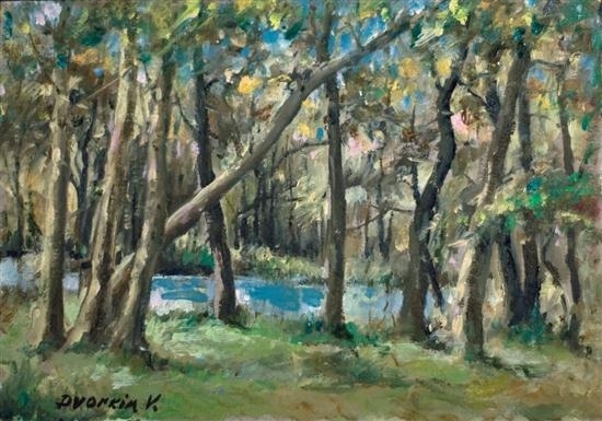 Vladimir Dvorkin | Biography