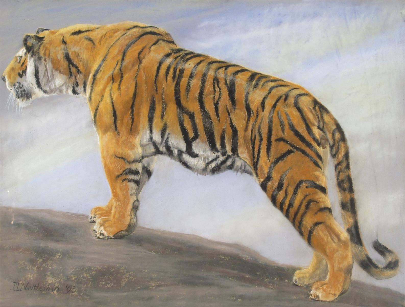John Trivett Nettleship | A tiger standing on a rock (1893) | MutualArt