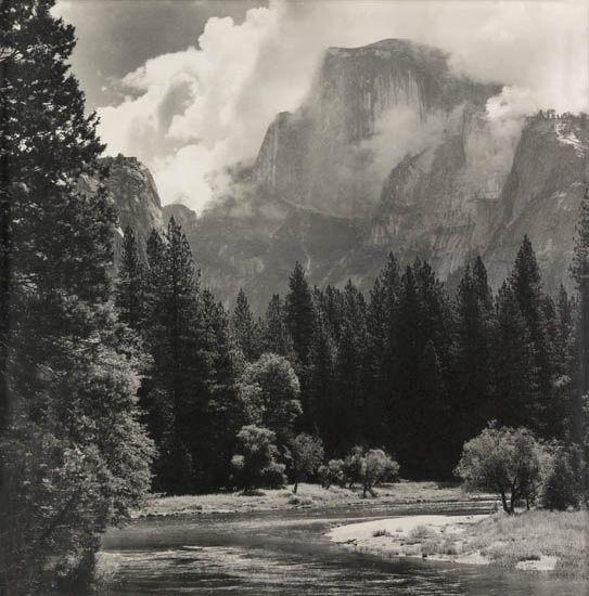 Ansel Adams | Fern Spring, Yosemite Valley (1961) | MutualArt